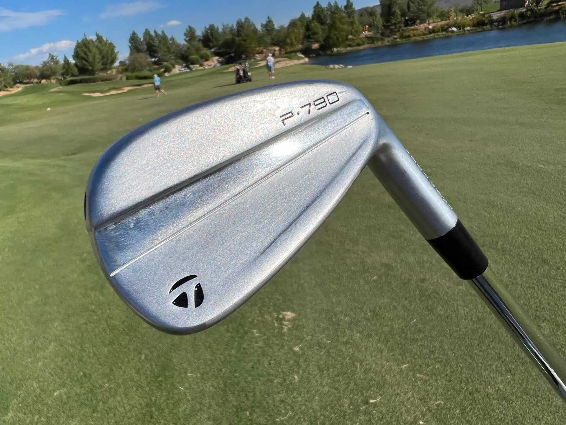 TaylorMade P790 Irons Review - Independent Golf Reviews