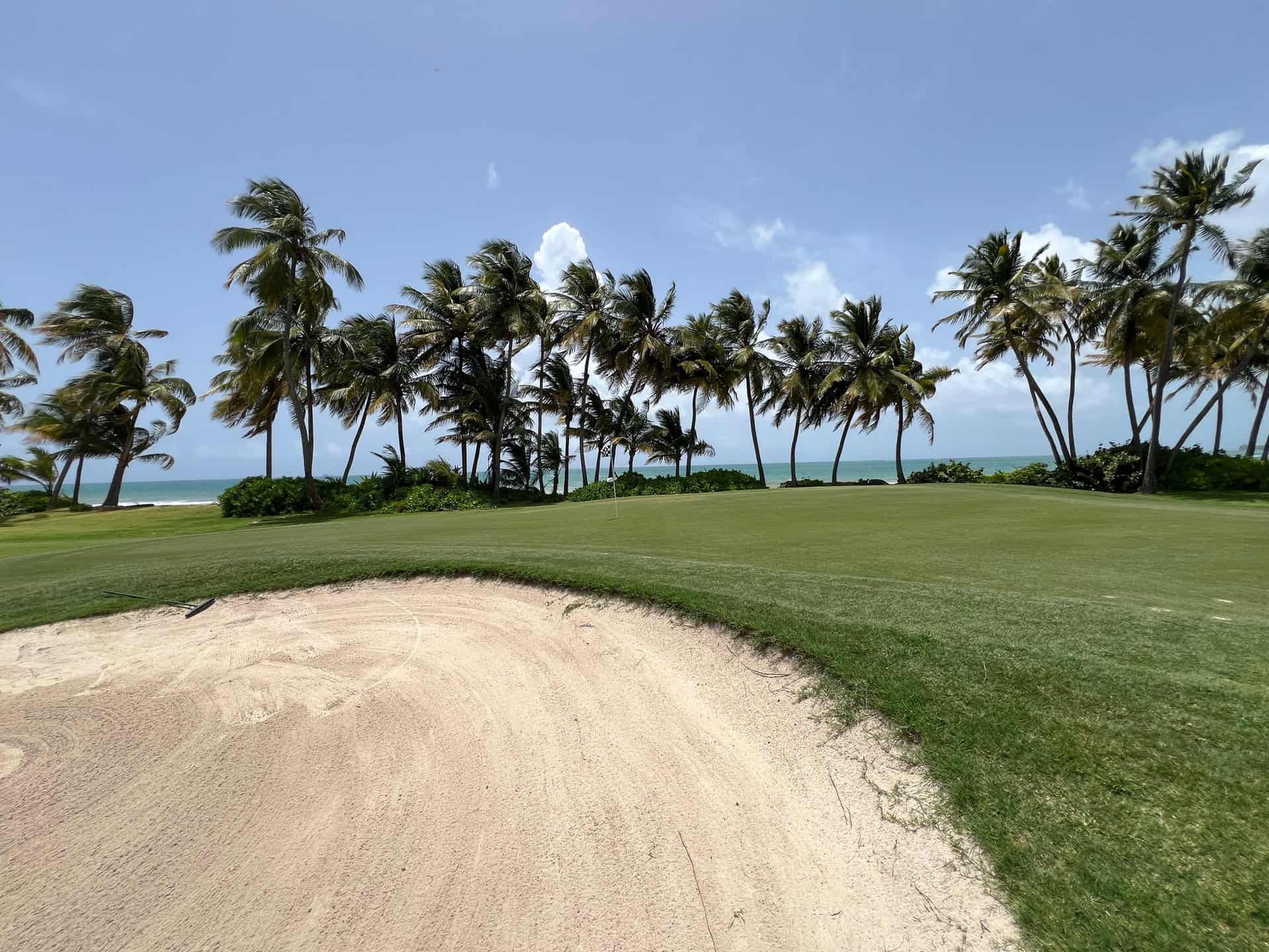 Rio Mar Country Club, Ocean Course, Puerto Rico Review - Independent ...