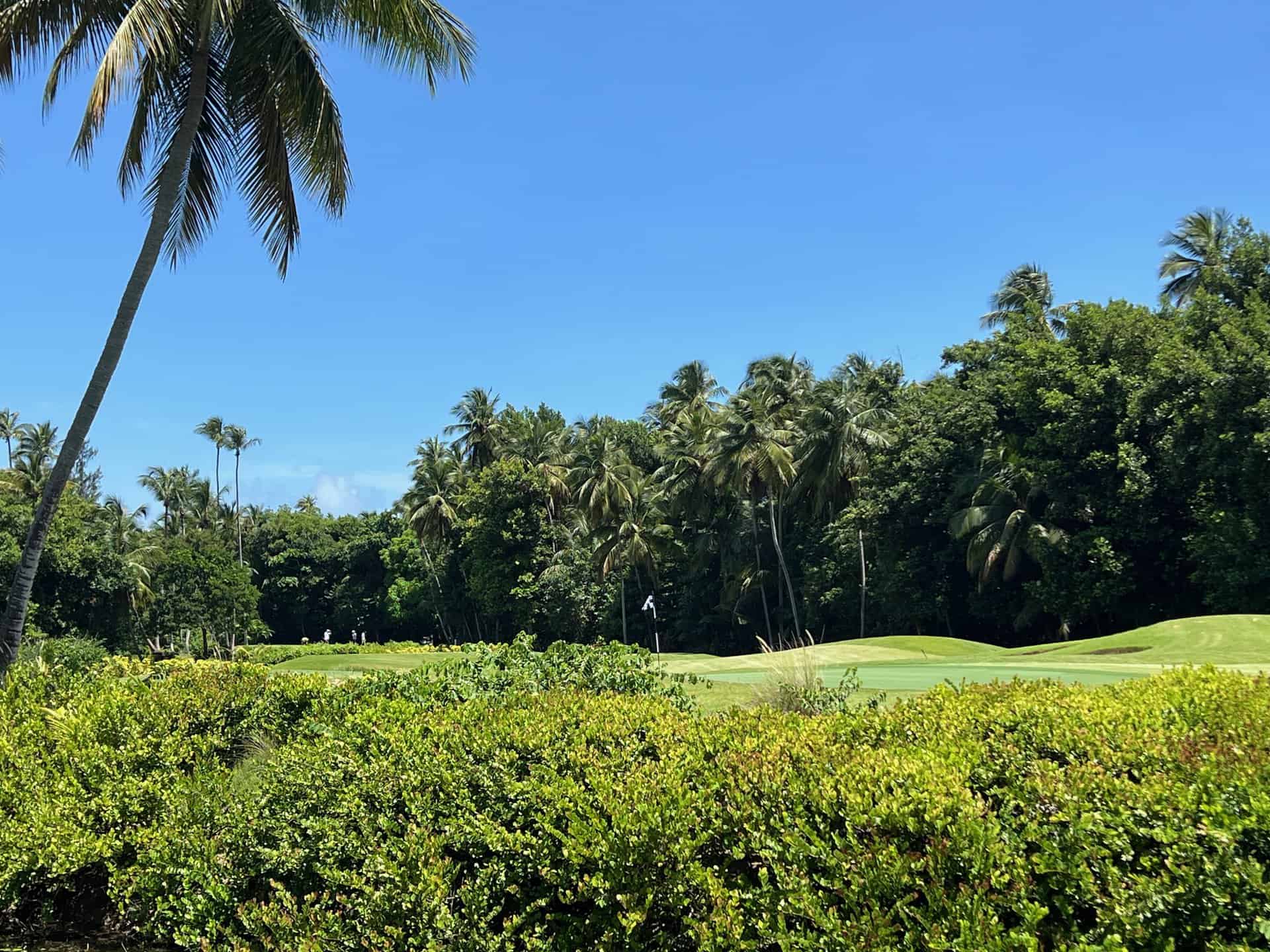 Bahia Beach Golf Club Puerto Rico Review - Independent Golf Reviews